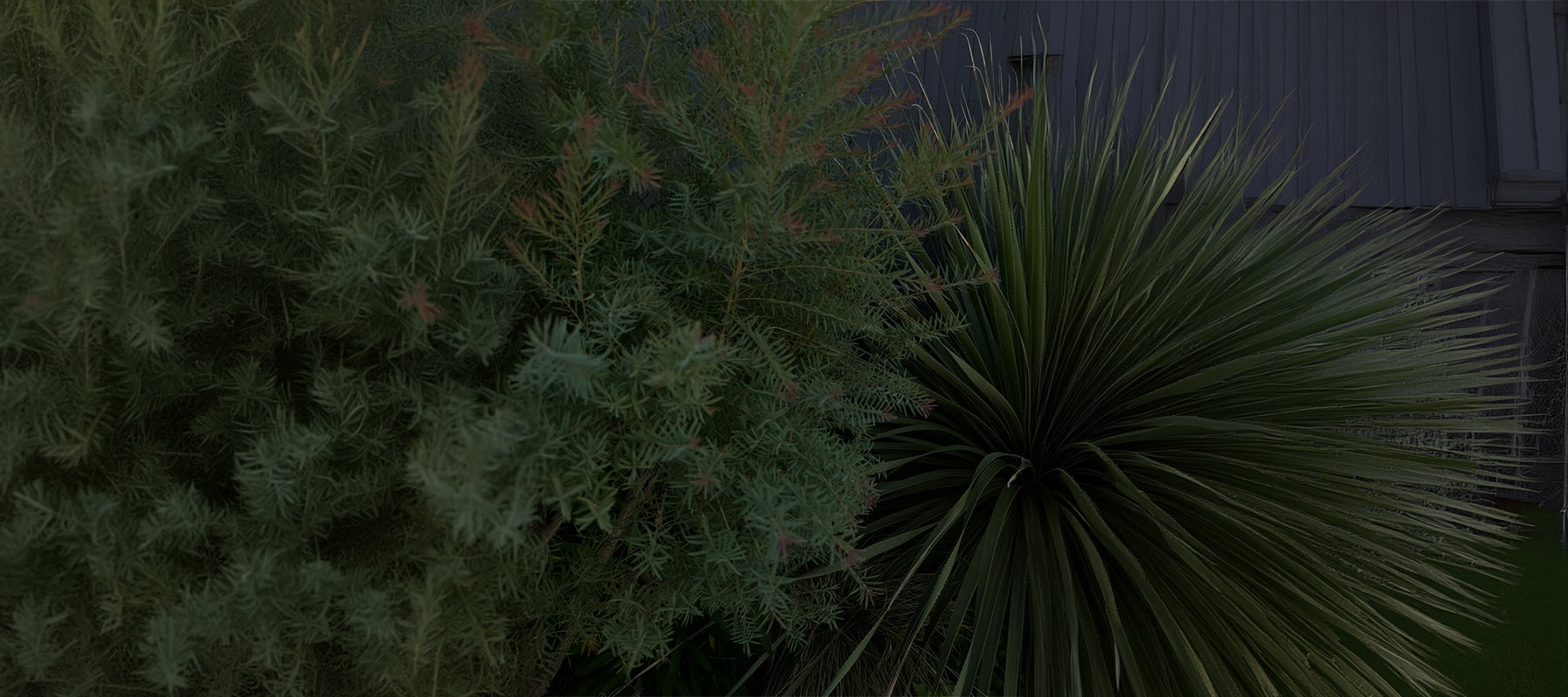 FINAL SALE – kuros.style